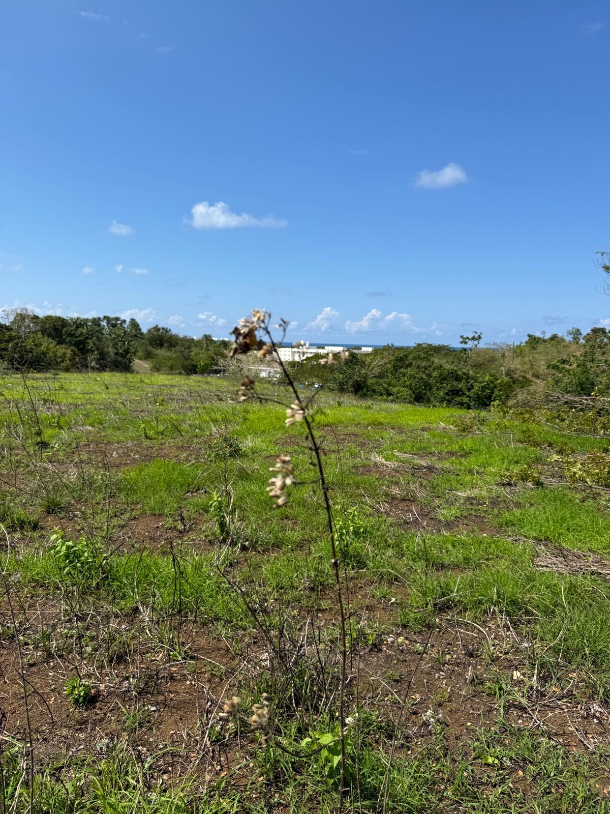 Development Land (Residential) For Sale: ROTHSEY COVE HARDING HALL ...
